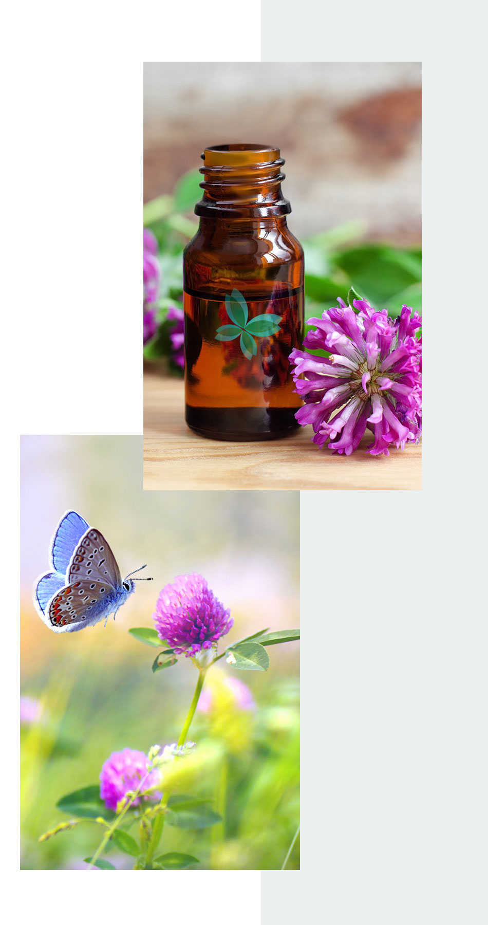 Consult Naturopath - Uniquely You Health Solutions